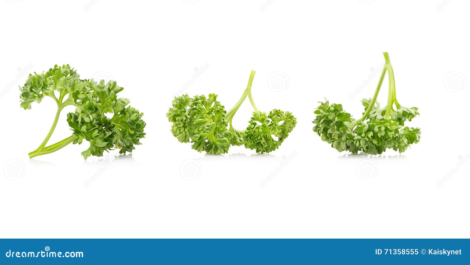 Parsley Isolated on a White Background Stock Image - Image of macro ...