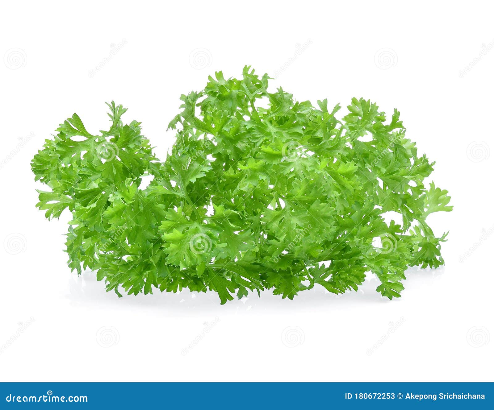 Parsley Isolated on White Background Stock Image - Image of parsley ...