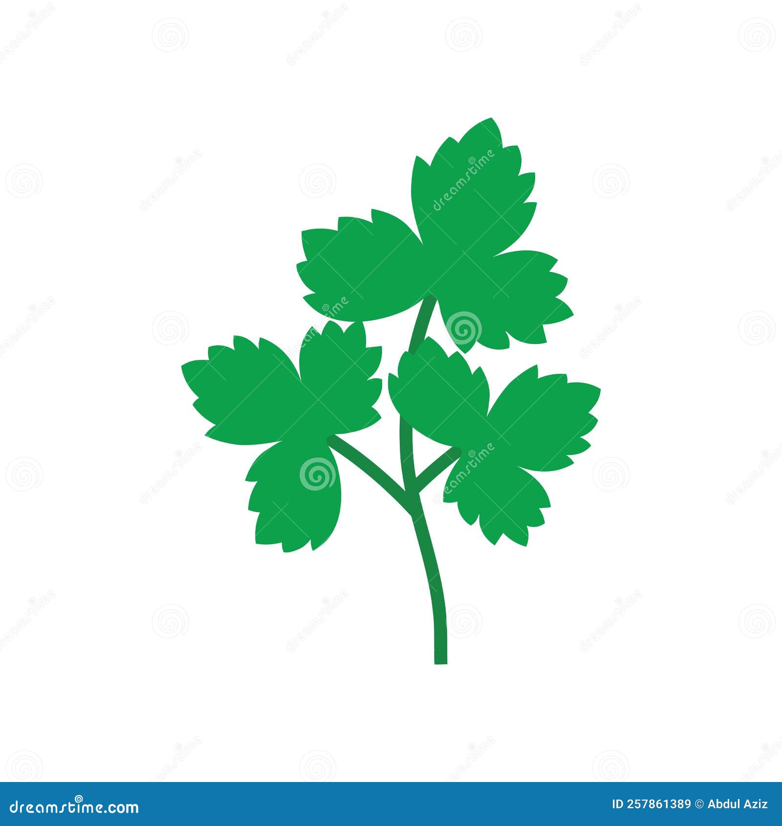 Parsley leaf icon vector stock vector. Illustration of vegetable ...
