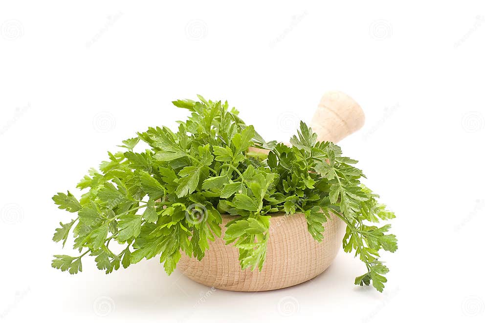 Parsley in mortar stock image. Image of vegetarian, branch - 9160403