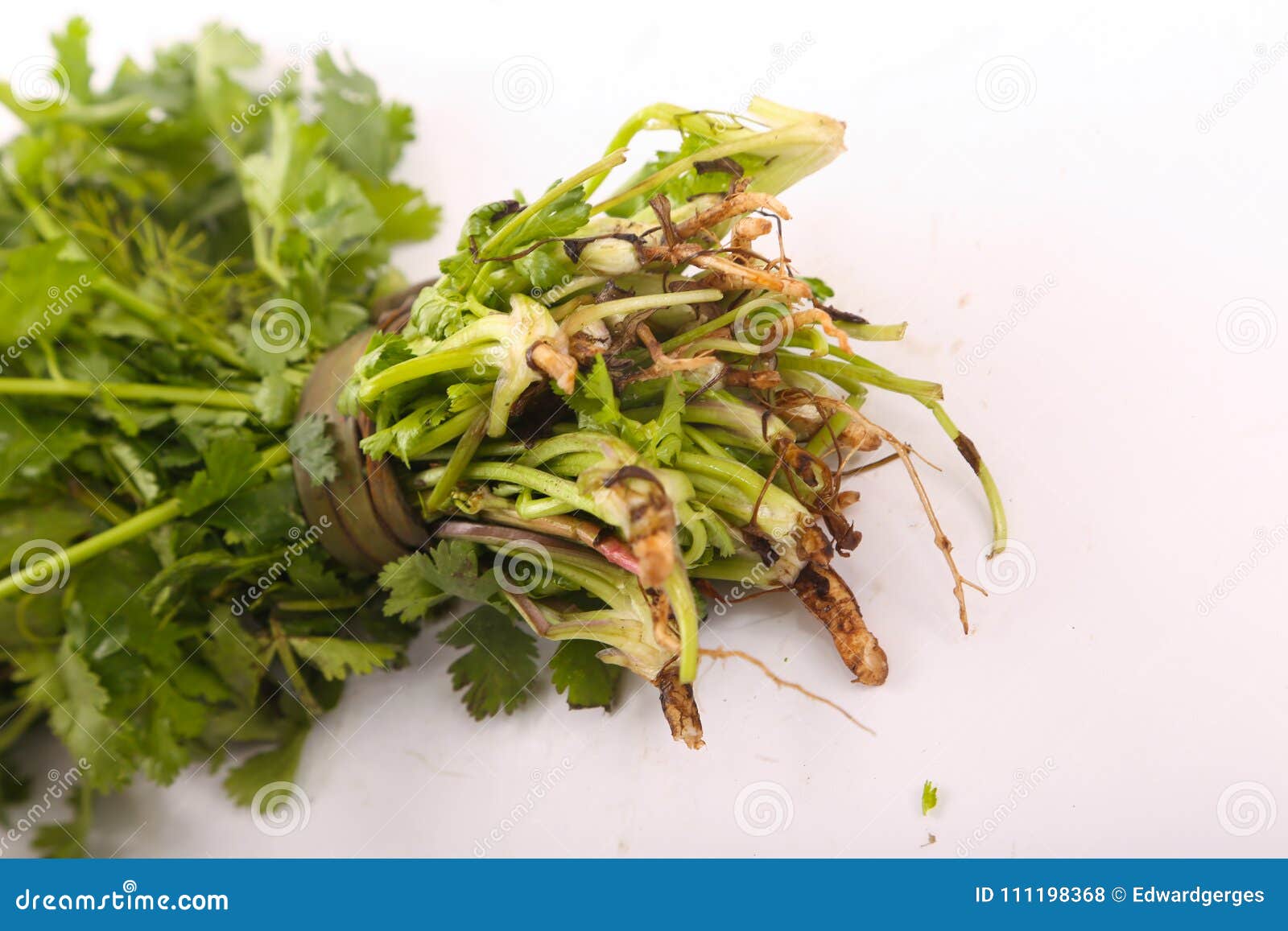 Parsley Pack stock photo. Image of cuisine, ingredient - 111198368