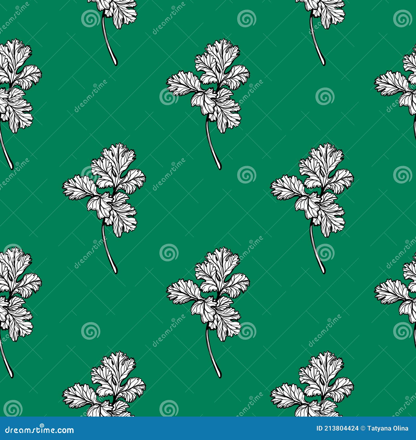 Parsley Pattern. Aromatic Italian Spice Useful Herbs Stock Vector ...