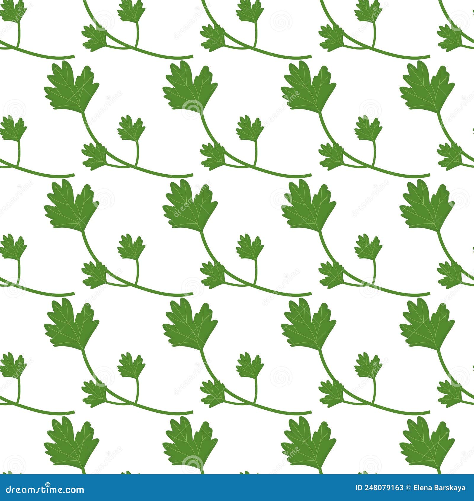 Parsley Pattern on White Background for Use in Web Design Stock Vector ...