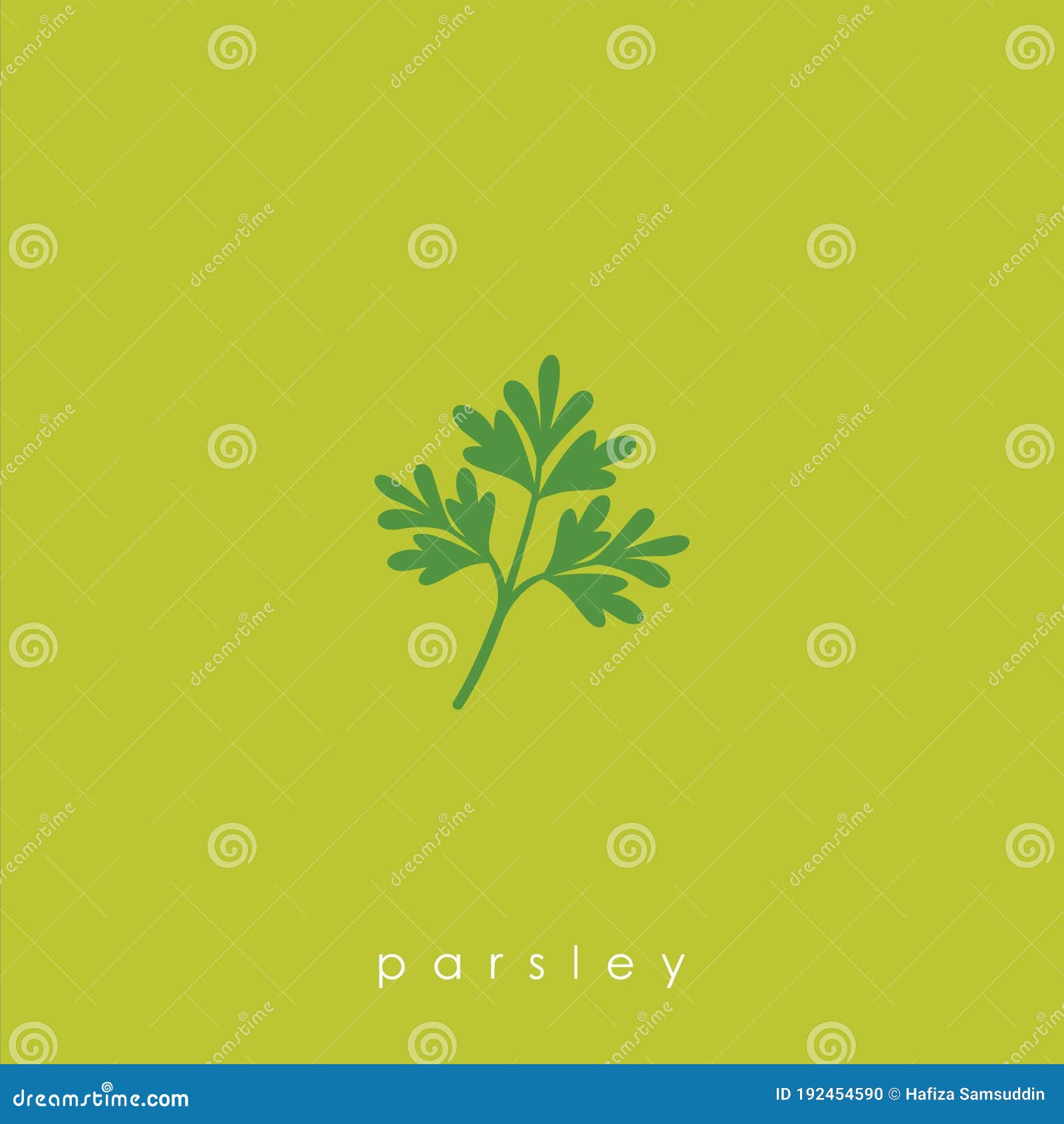 Parsley Plant. Vector Illustration Decorative Design Stock Vector ...