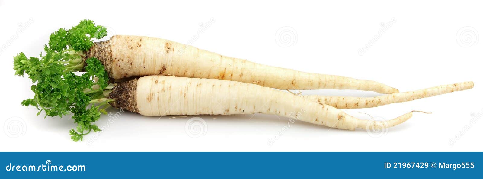 Parsley root stock image. Image of root, bunch, green - 21967429