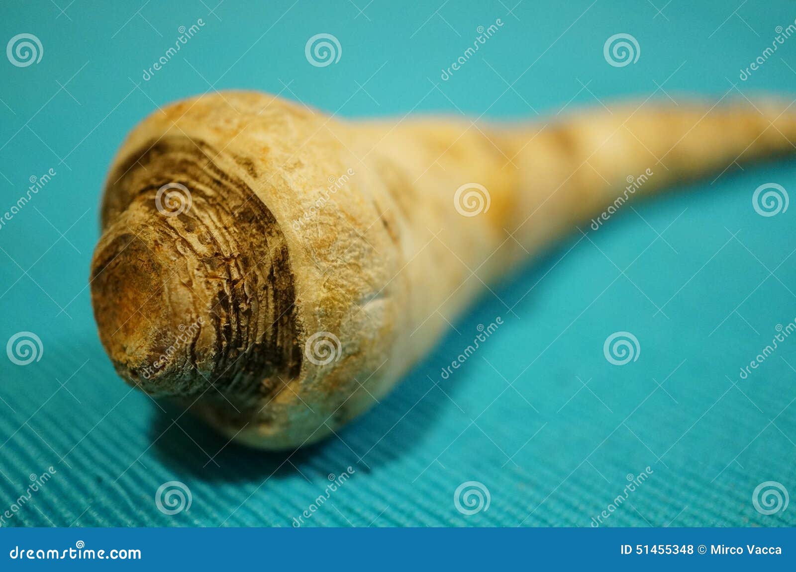Parsley root stock photo. Image of parsley, food, healthy - 51455348