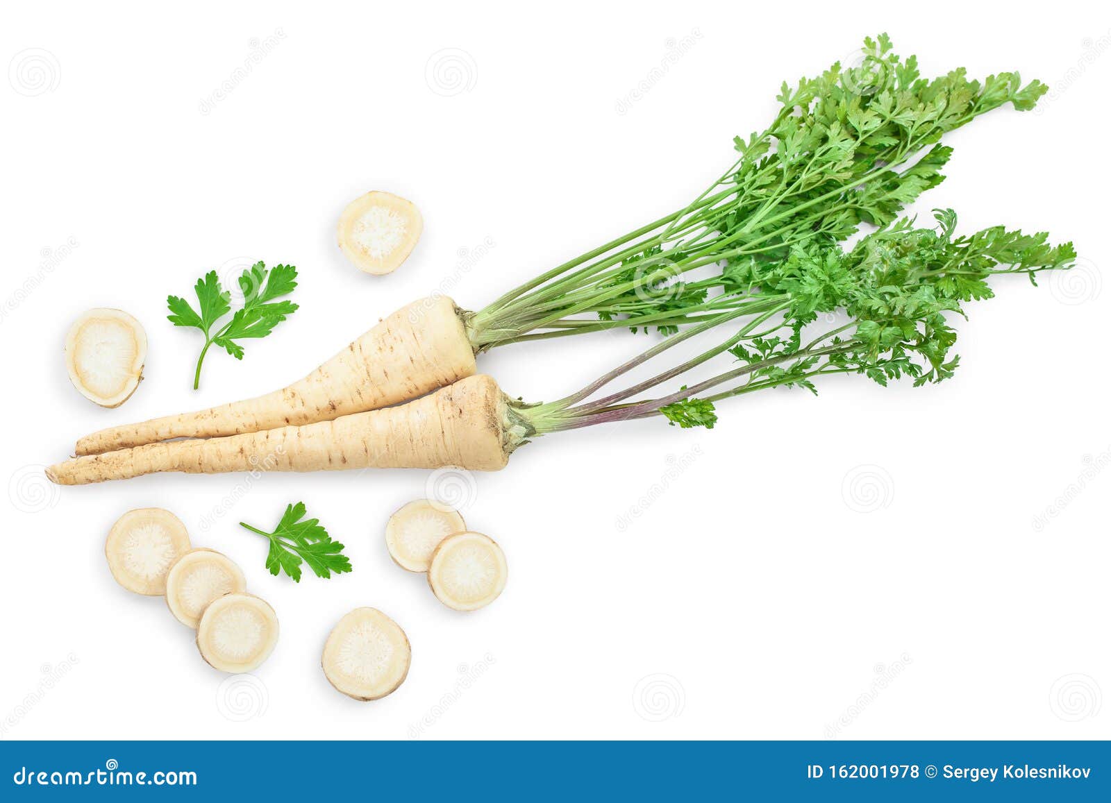 Parsley Root with Slices and Leaves Isolated on White Background. Top ...