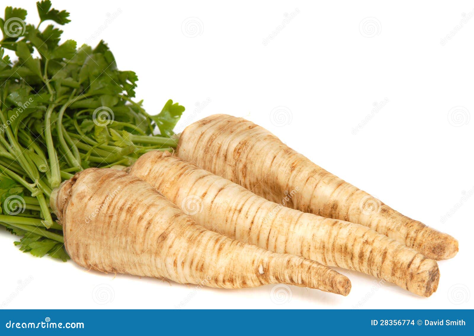 Parsley Root on White Background Stock Photo - Image of ingredient ...