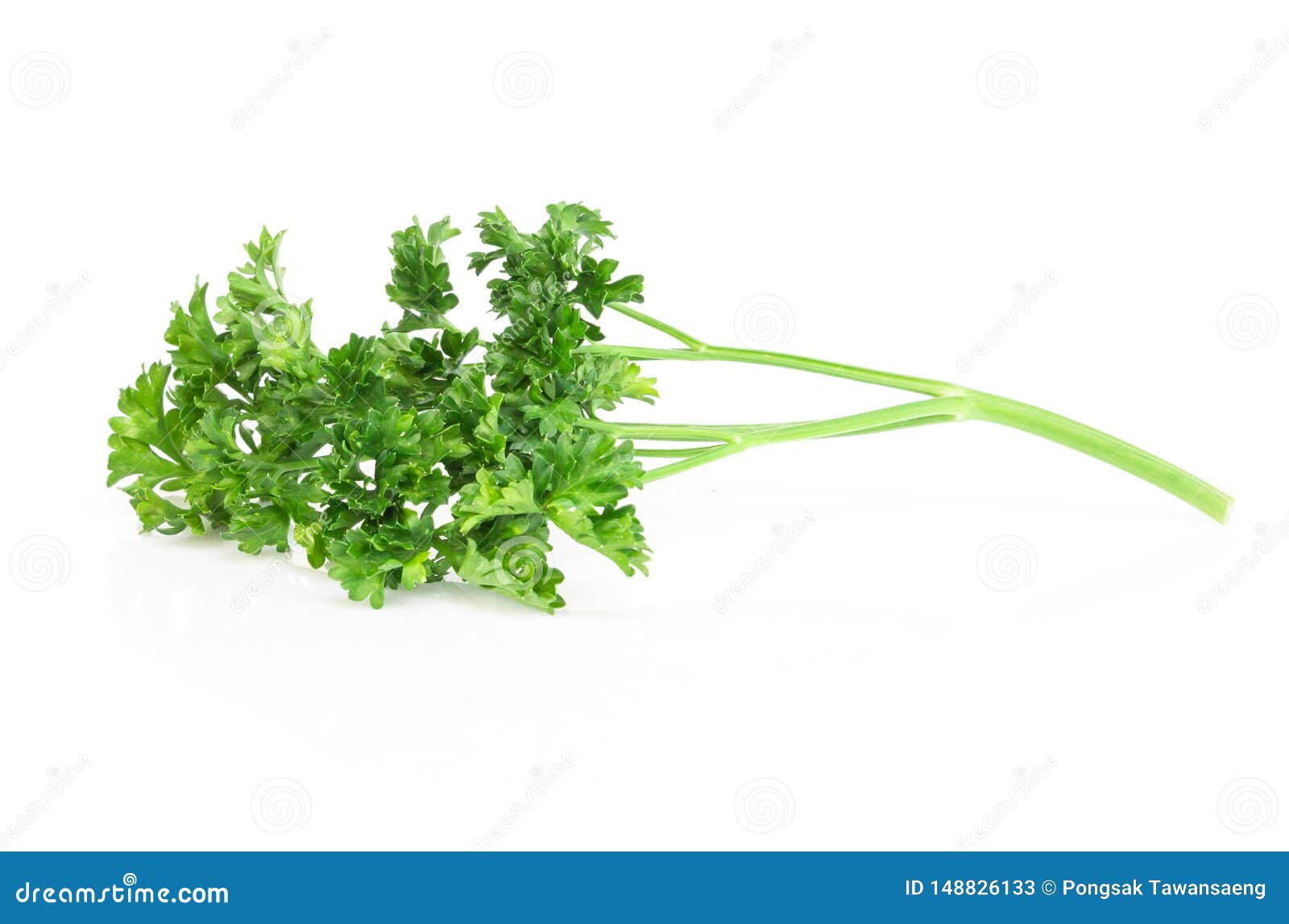 Parsley Vegetable Isolated on White Background Stock Image - Image of ...