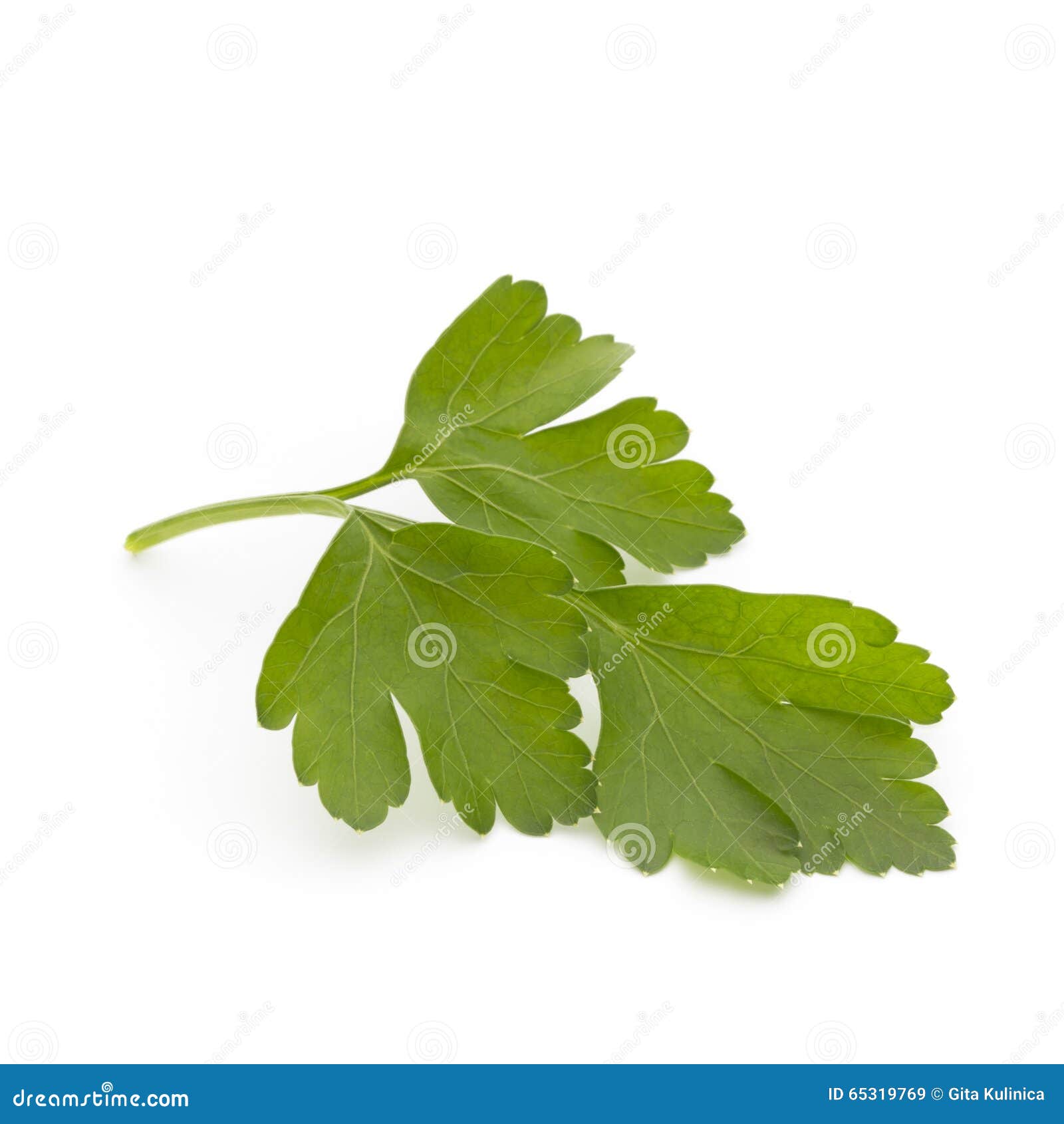 Parsley on the White Background. Stock Image - Image of healthy ...