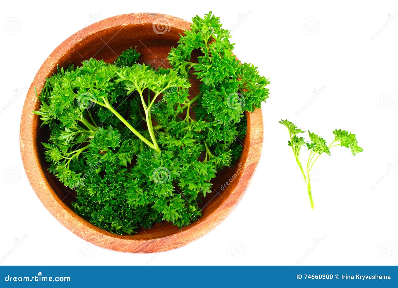 Parsley on White Background Stock Photo - Image of condiment, aromatic ...