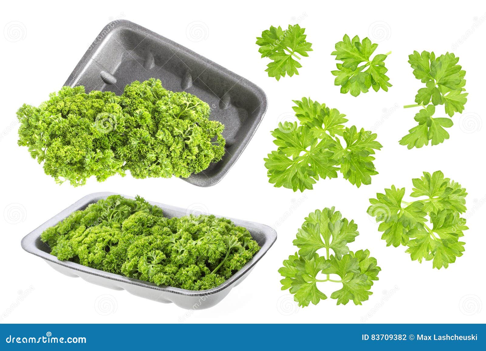 Parsley on white stock photo. Image of organic, ingredient - 83709382