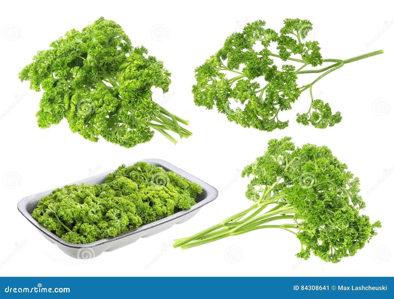 Parsley on white stock image. Image of fragrant, cilantro - 84308641