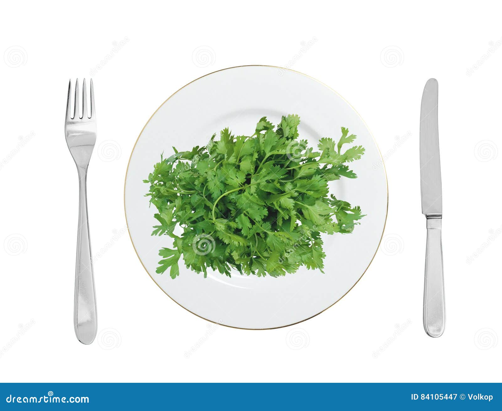Parsley on White Plate Isolated on White Stock Image - Image of dill ...