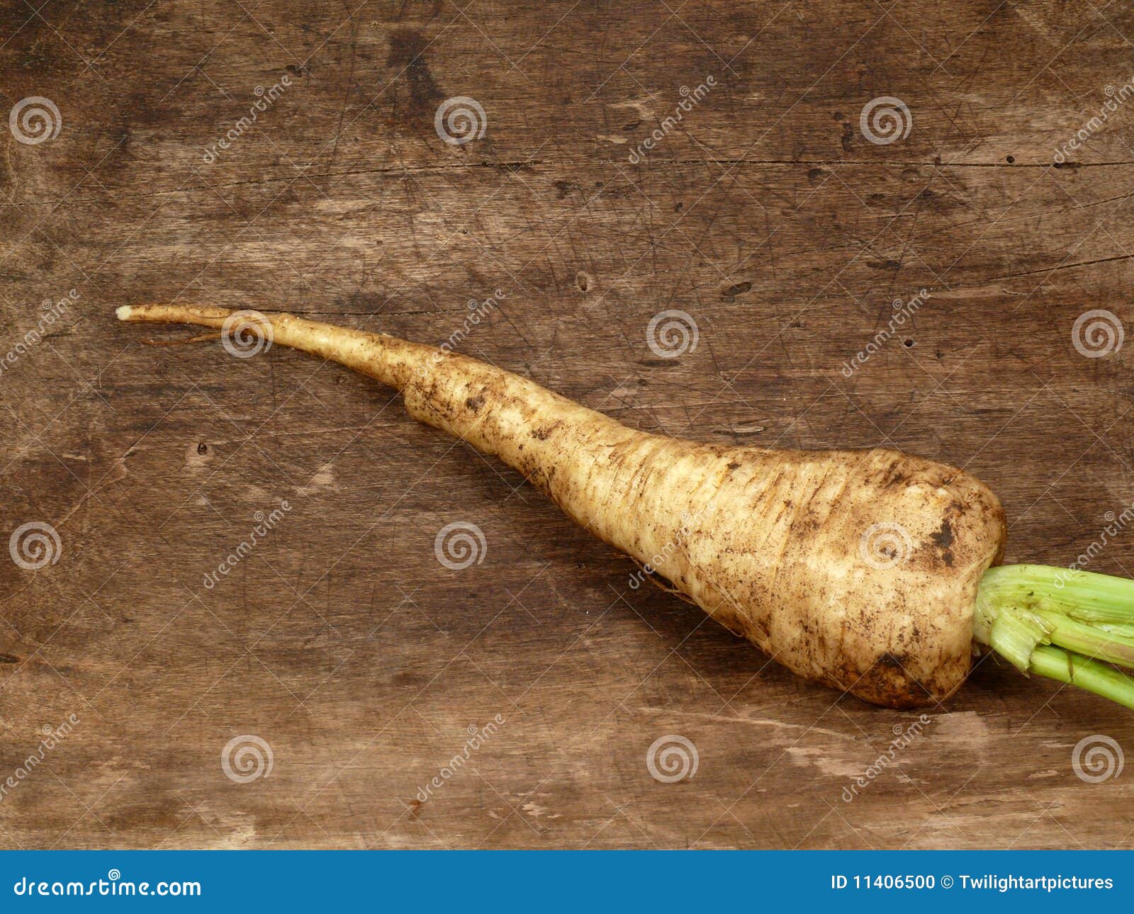 Parsnip stock photo. Image of eating, healthy, food, plant - 11406500