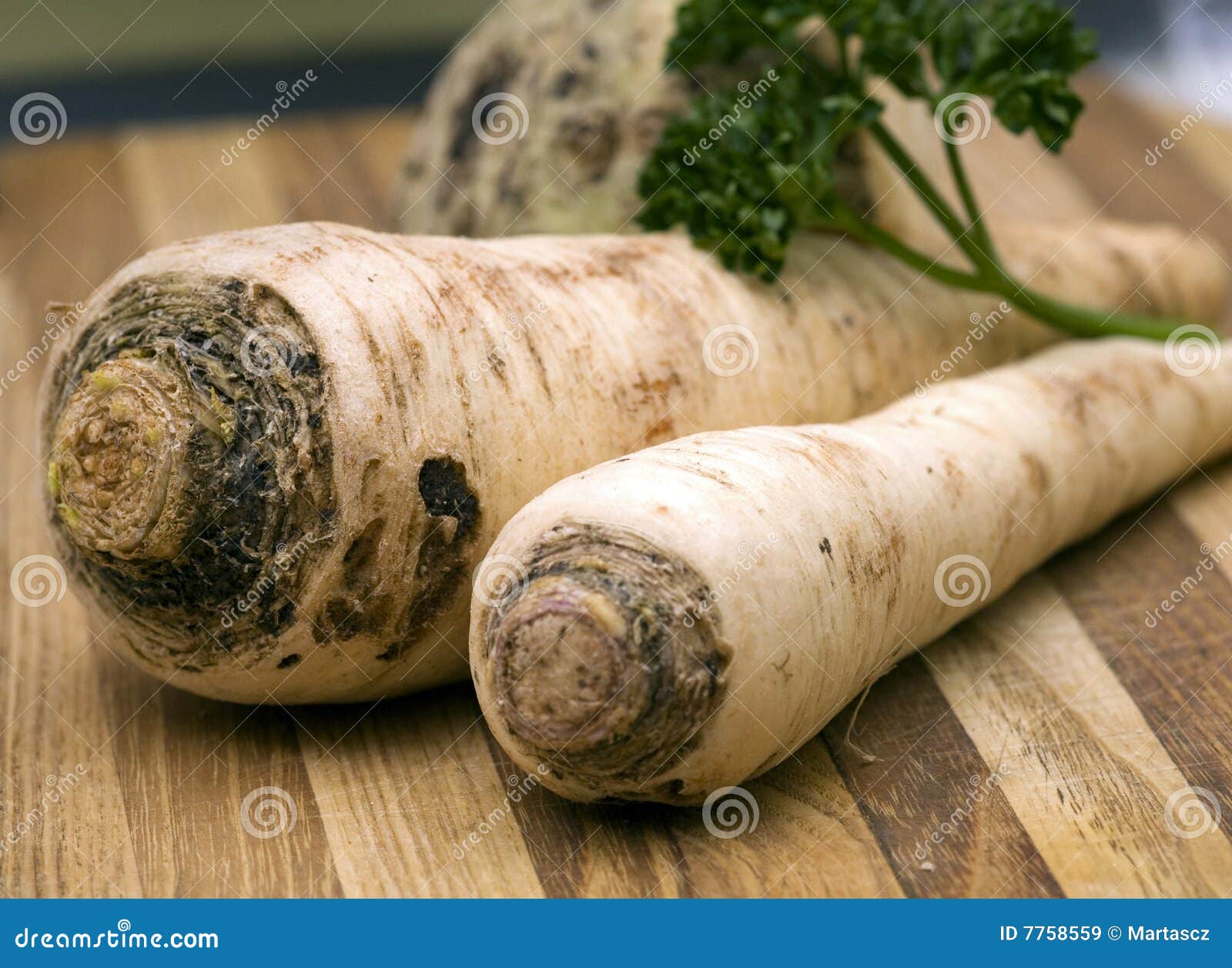 Parsnip stock image. Image of root, vegetable, eating - 7758559