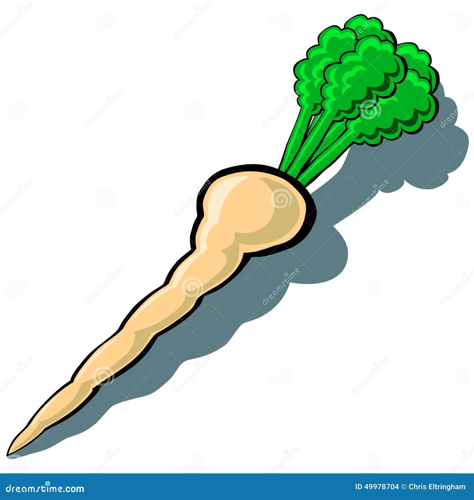 Parsnip Cartoons, Illustrations & Vector Stock Images - 2178 Pictures ...