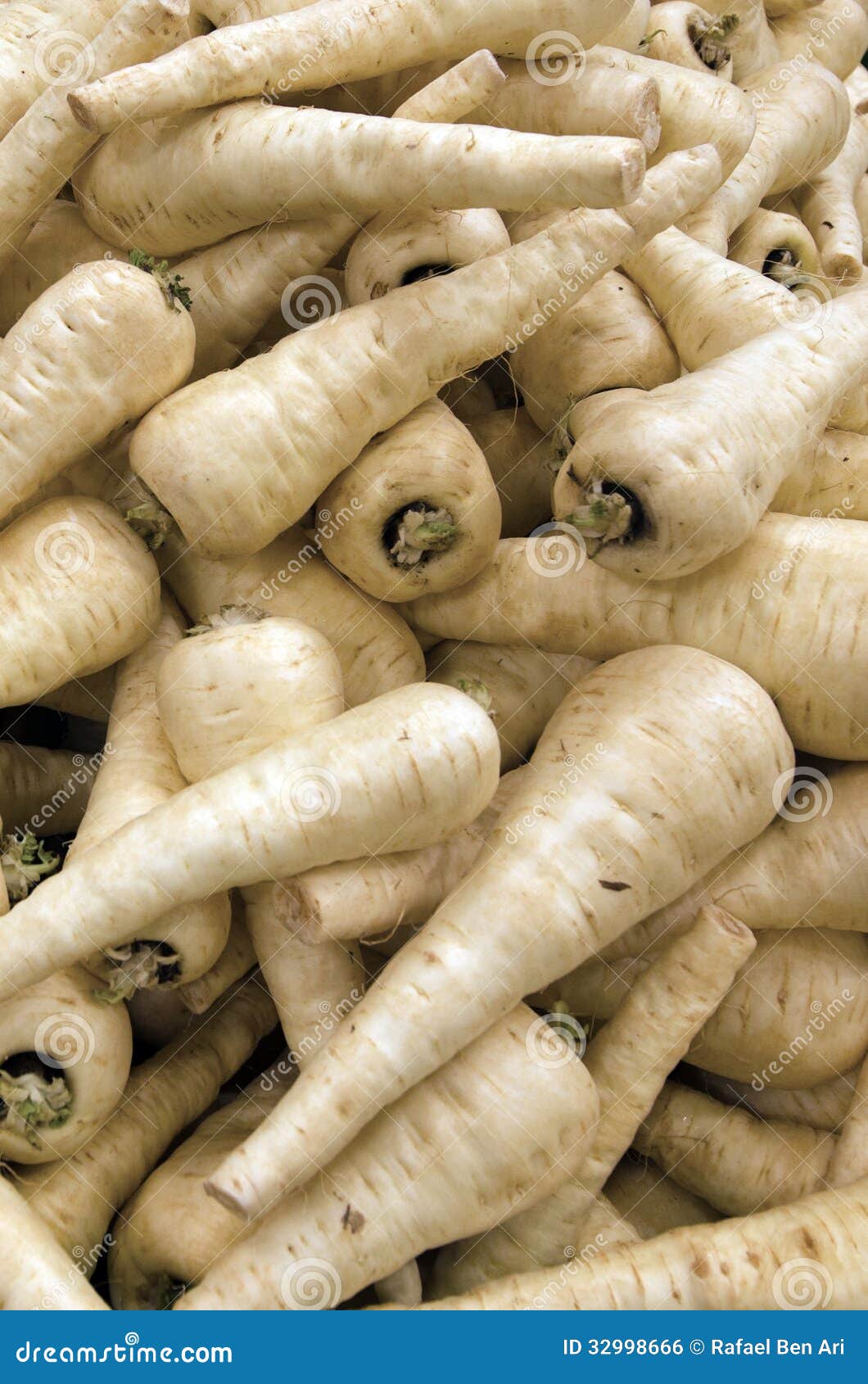 Parsnip stock photo. Image of cuisine, diet, group, ingredient - 32998666