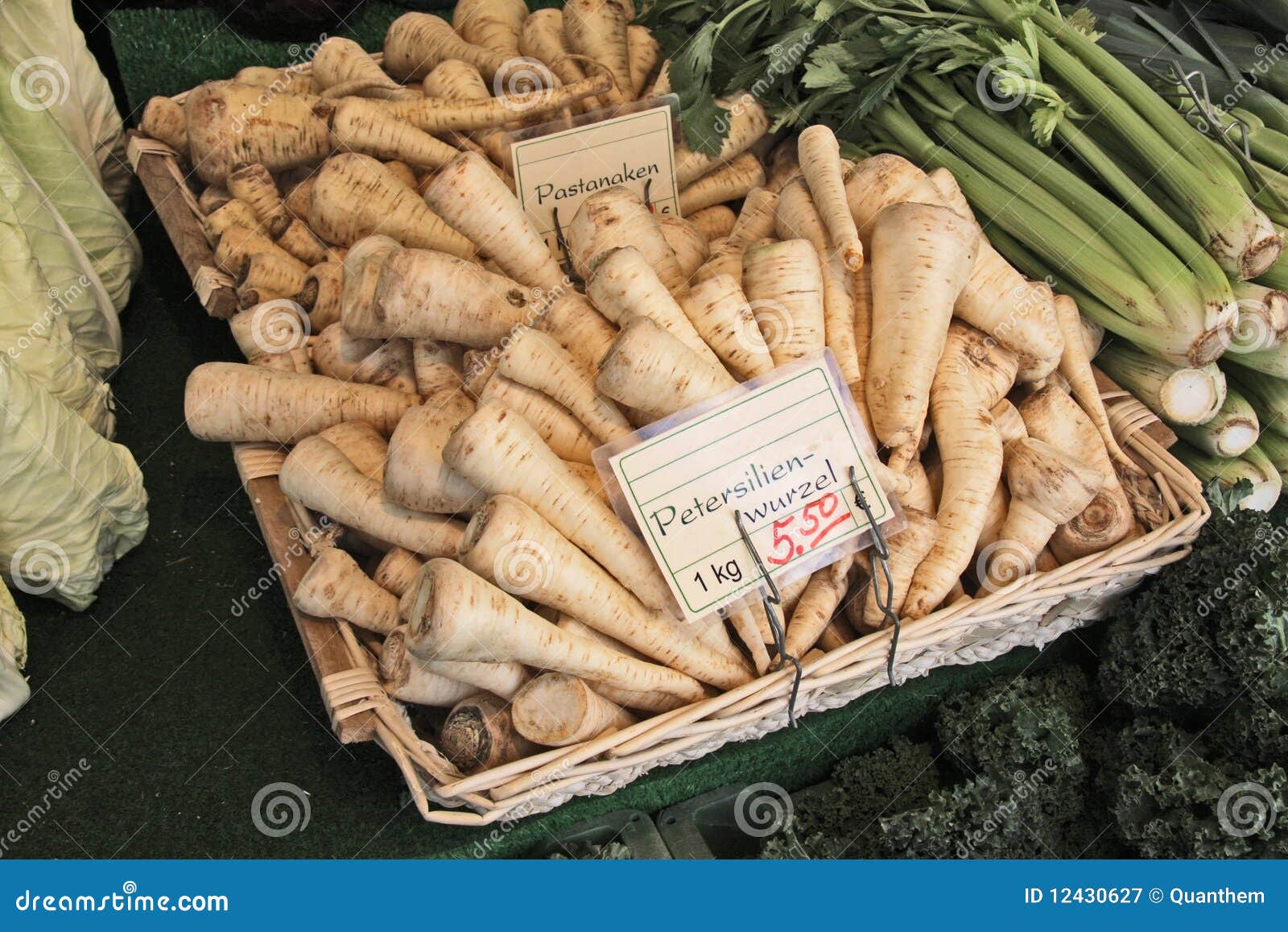 Parsnip (Pastinaca sativa) stock image. Image of germany - 12430627