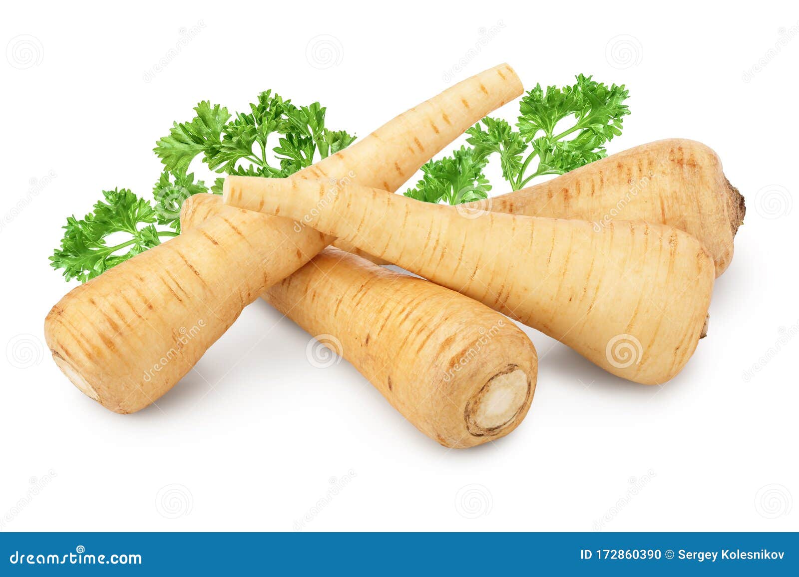 Parsnip Root Isolated on White Background Closeup Stock Photo - Image ...