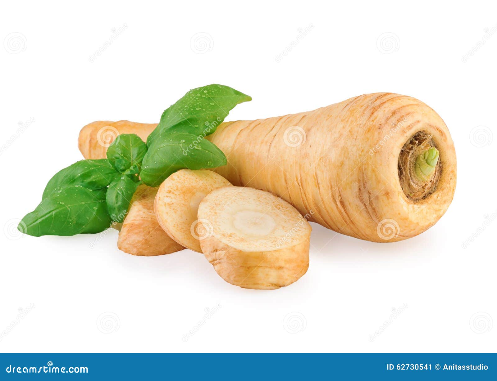 Parsnip Root Prepared for Cooking Stock Image - Image of plant, fresh ...