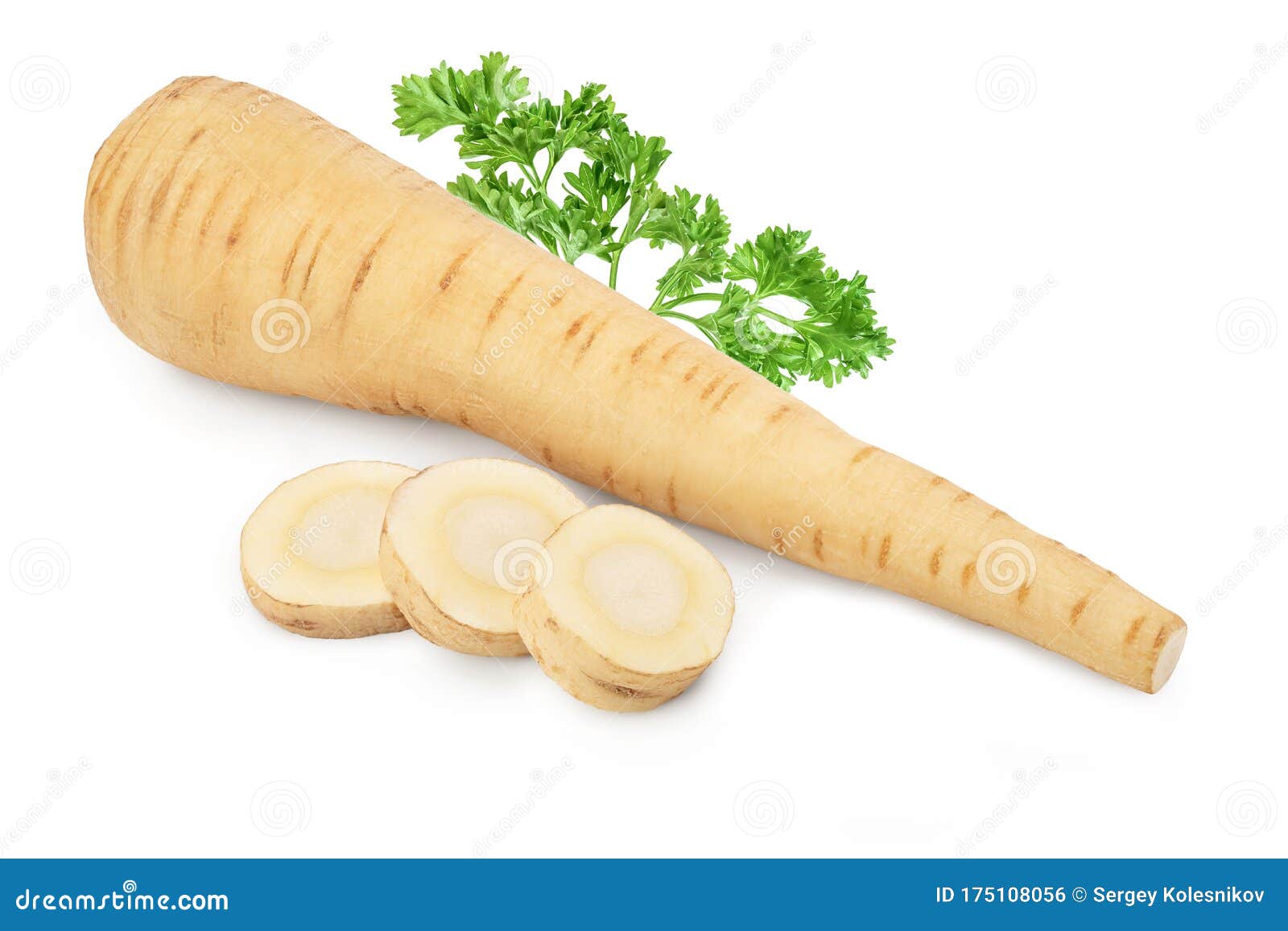 Parsnip Root and Slices Isolated on White Background with Clipping Path ...