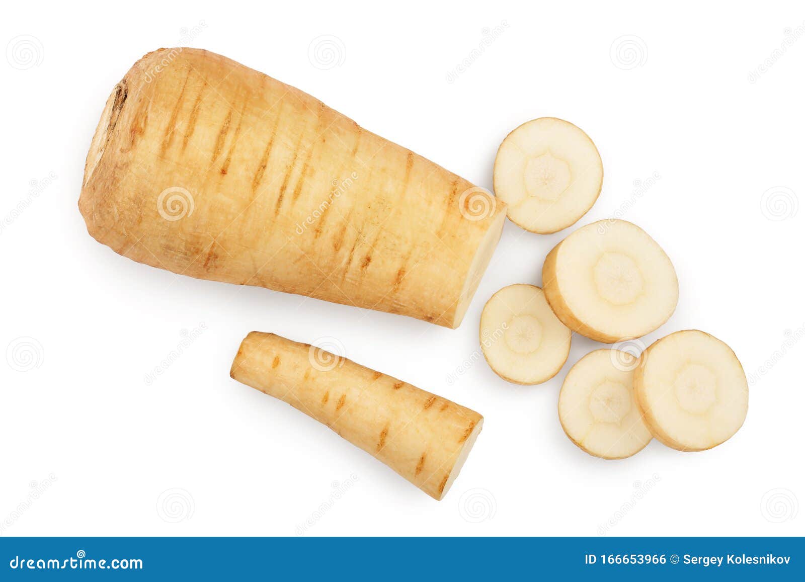 Parsnip Root and Slices Isolated on White Background Closeup. Top View ...