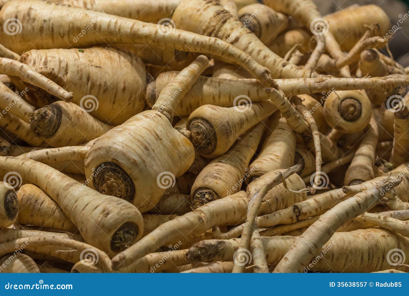 Parsnip in Vegetable Market Display Stock Image - Image of harvest ...