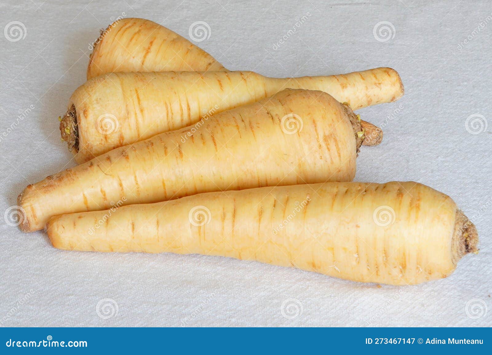 Parsnip Vegetable Roots on White Cloth Stock Image - Image of fish ...