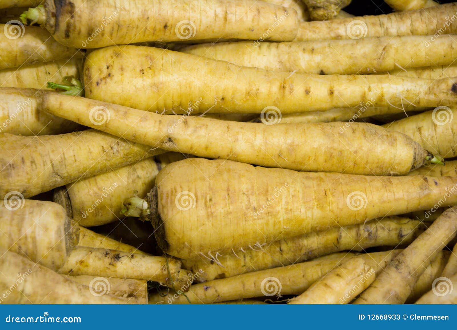 Parsnips stock image. Image of organic, isolated, background - 12668933
