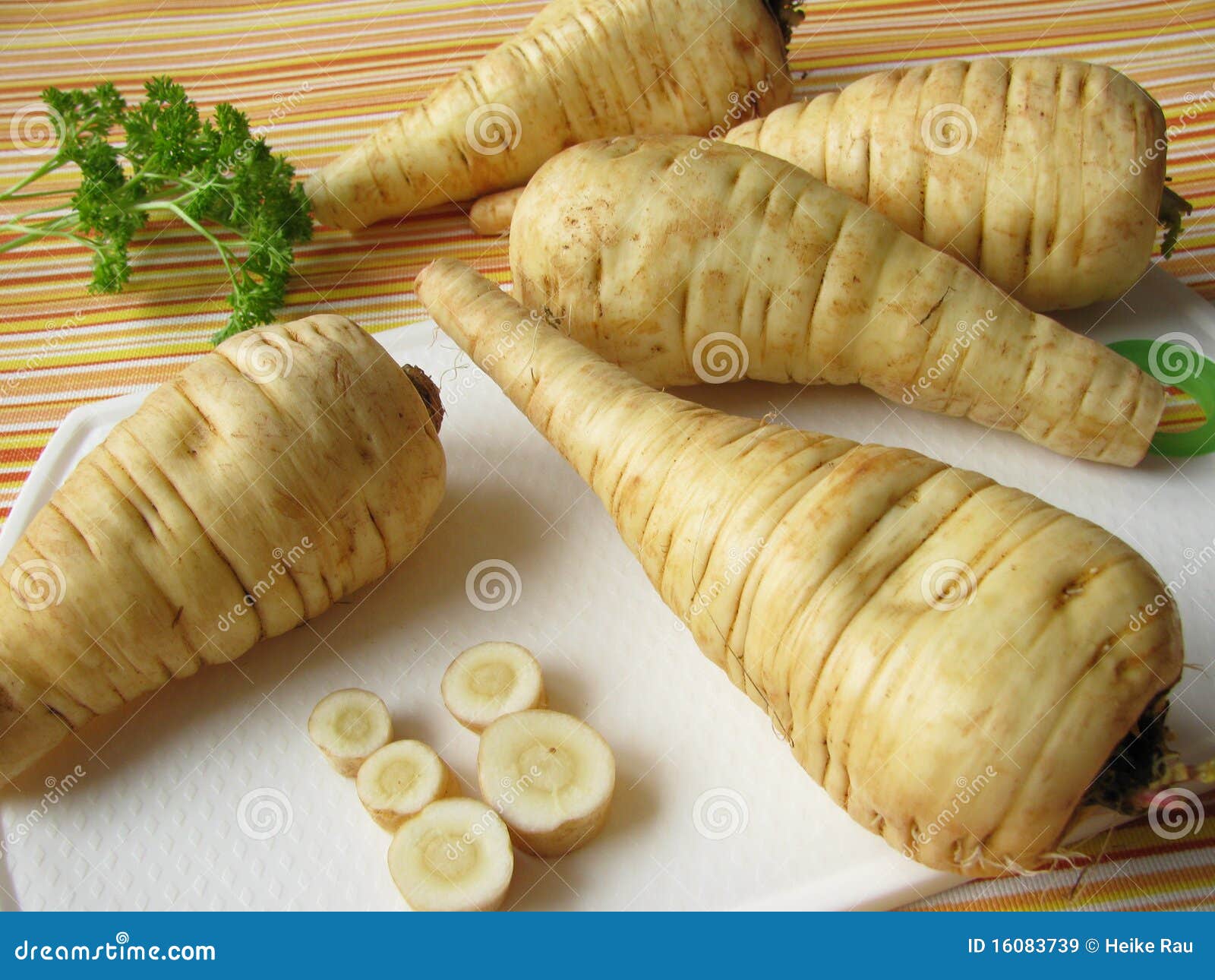 Parsnips stock image. Image of vegetable, parsnips, conical - 16083739