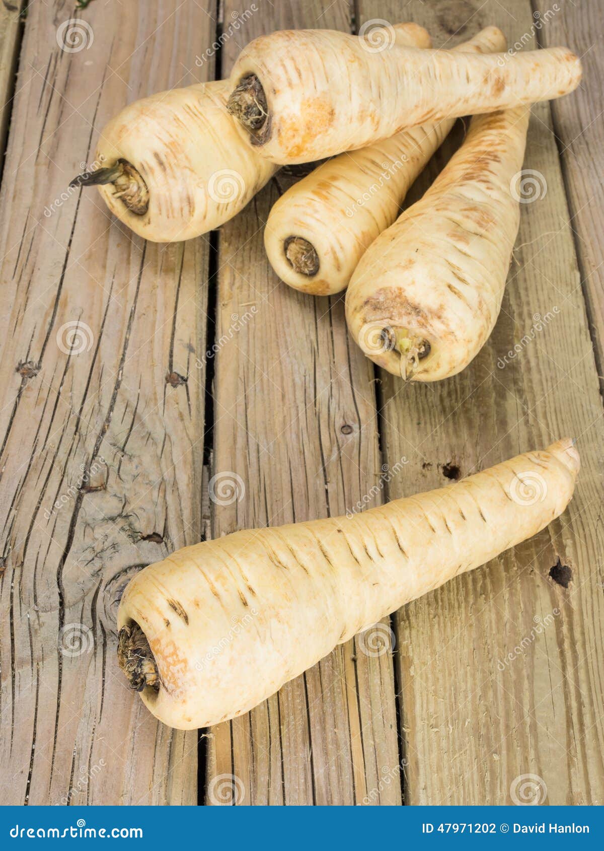 Parsnips stock photo. Image of european, farming, wholesome - 47971202