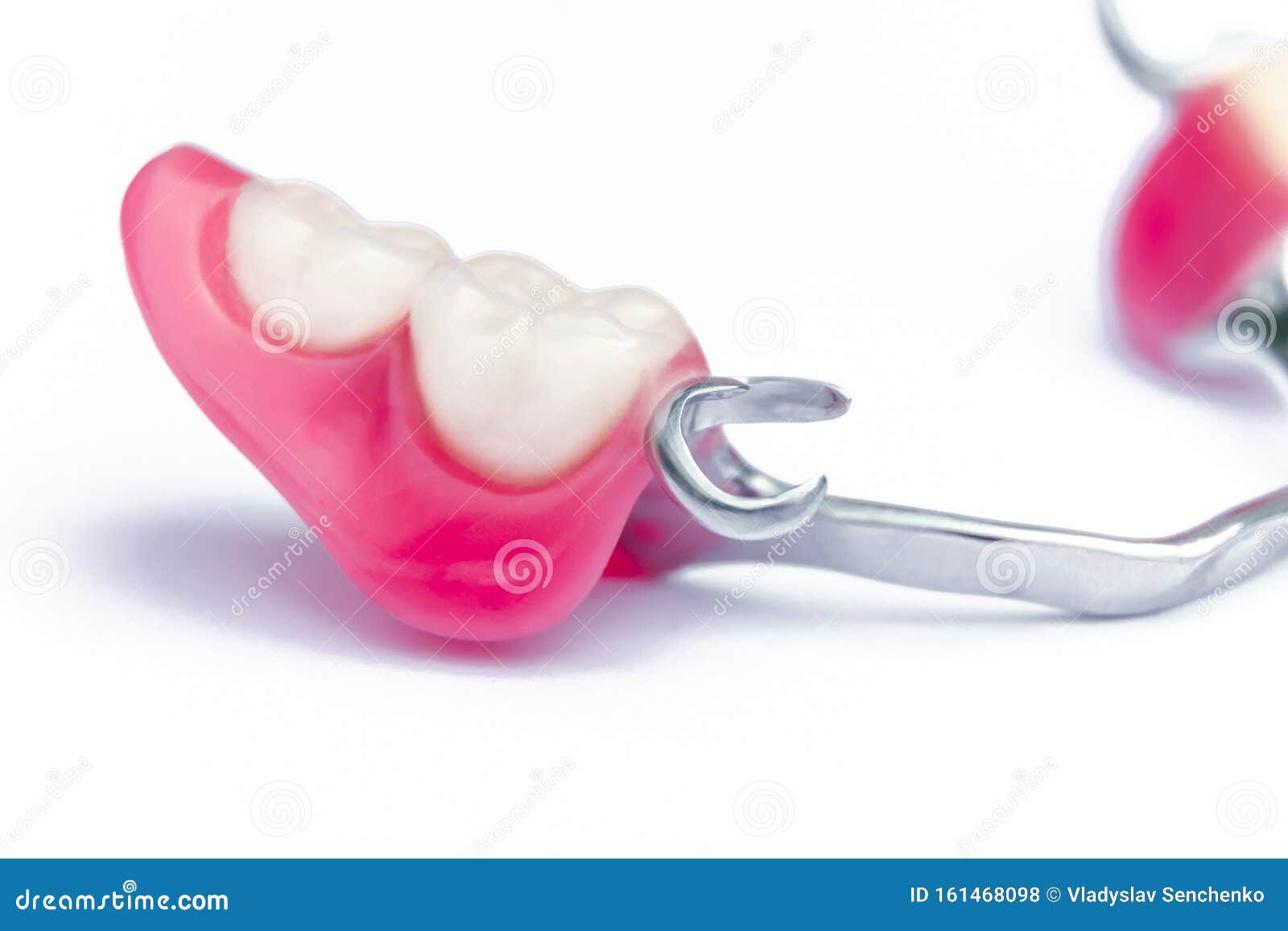 Part of Clasp Prosthesis in Focus. Fixation Clamer. False Teeth on the ...
