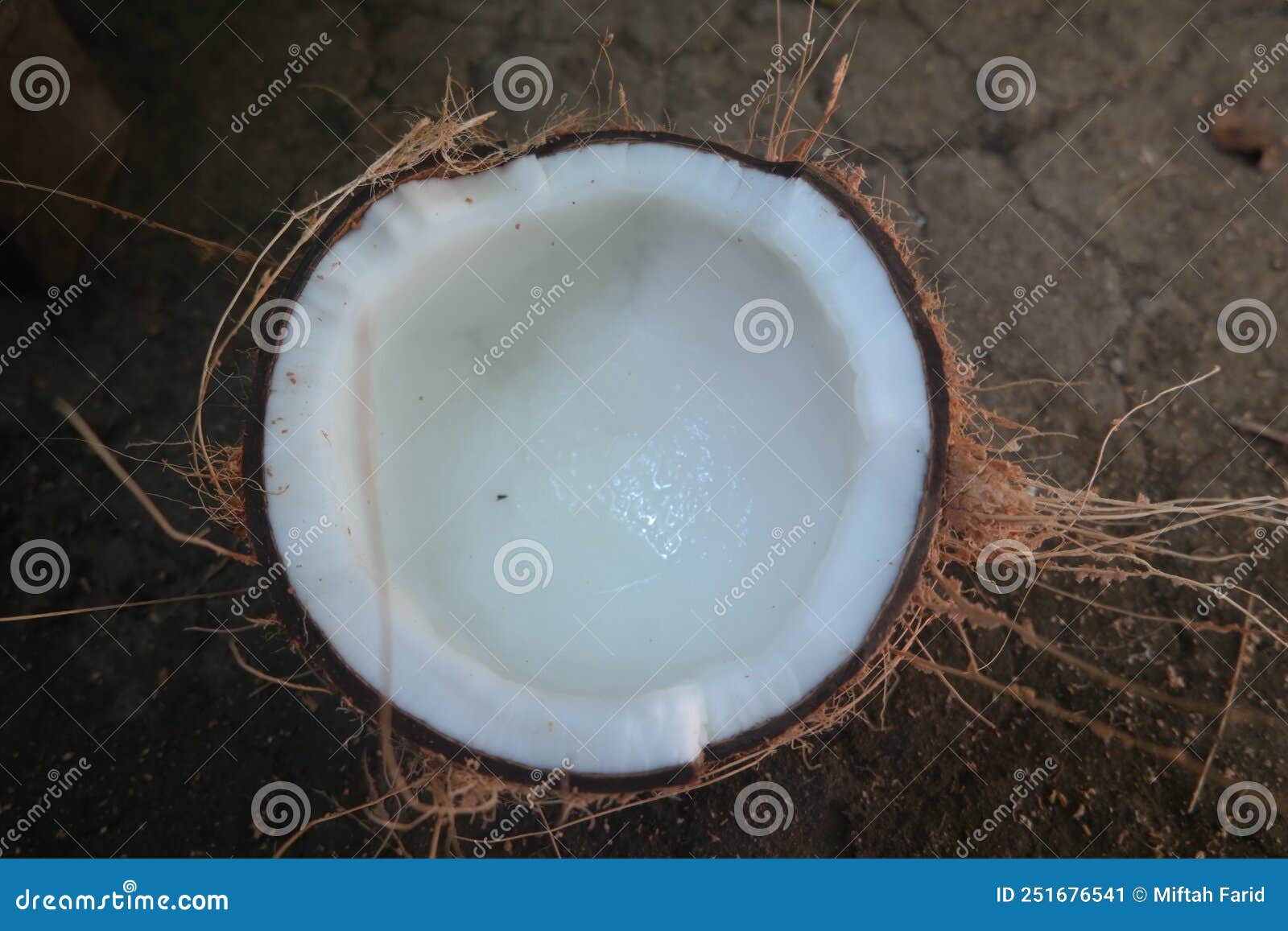 Part of a Coconut that is Split in Half Stock Image - Image of flower ...