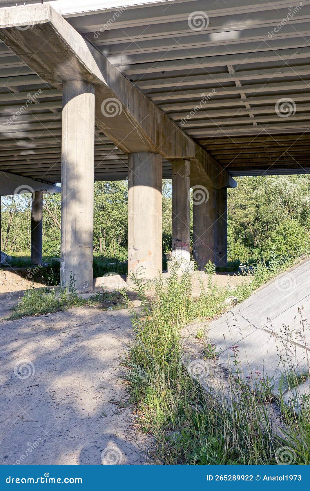 Part of the Concrete Gray Structure of the Old Bridge from Columns ...