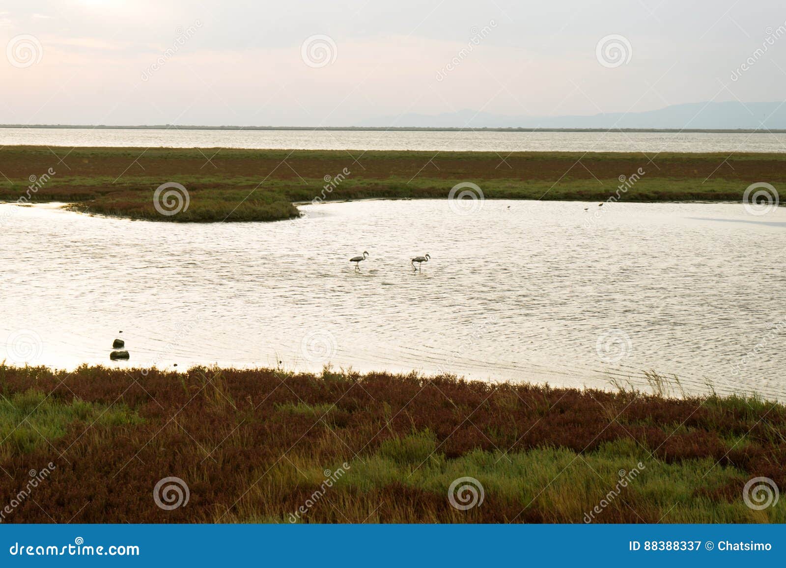 Part of the Delta of River Evros, Greece Stock Image - Image of nature ...