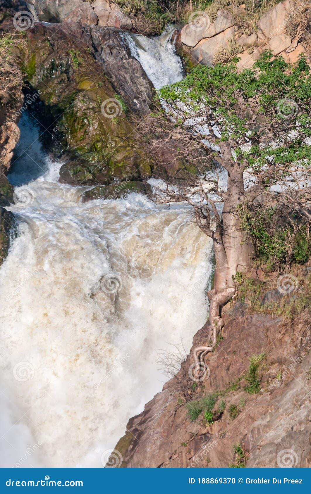 Part of the Epupa Waterfalls with a Baobab Tree Visible Stock Photo ...