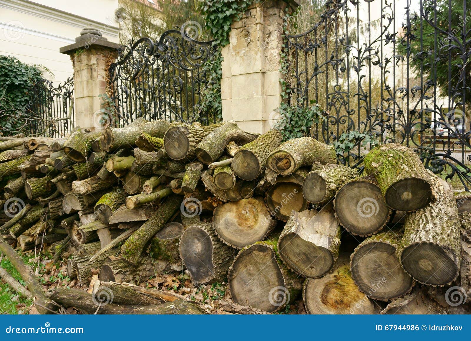 Part of the Fence with Cuted Trees in the Park Stock Photo - Image of ...