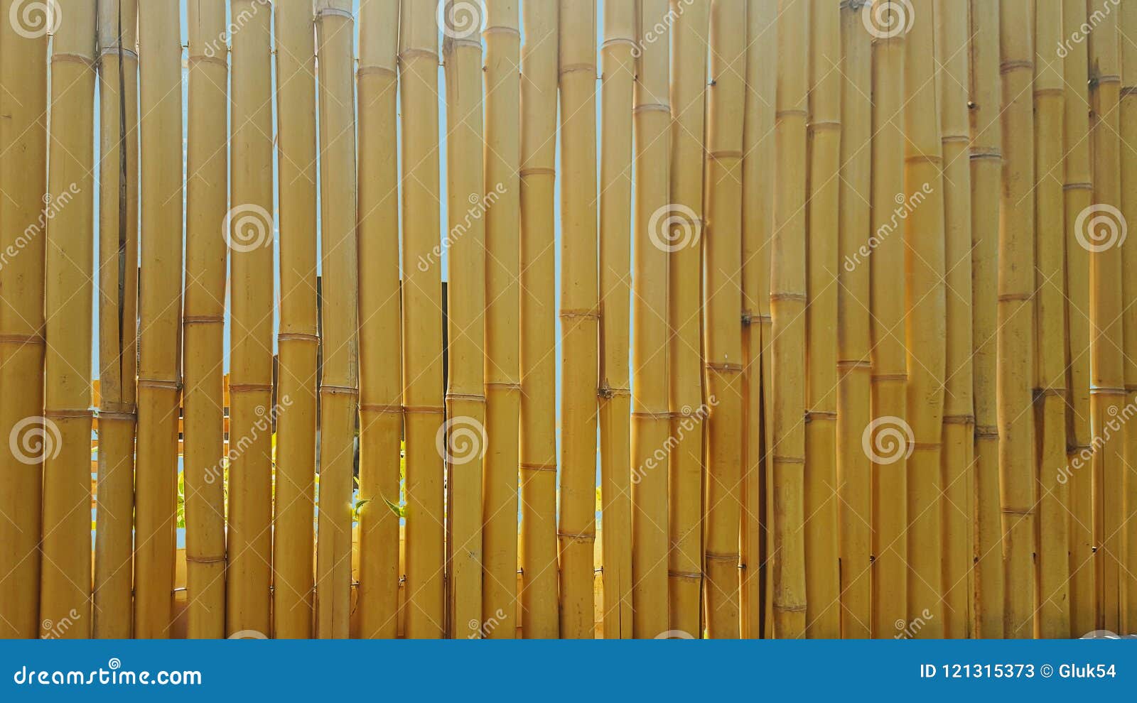 Part Fencing, Made of Barrels of Mature Bamboo Stock Image - Image of ...