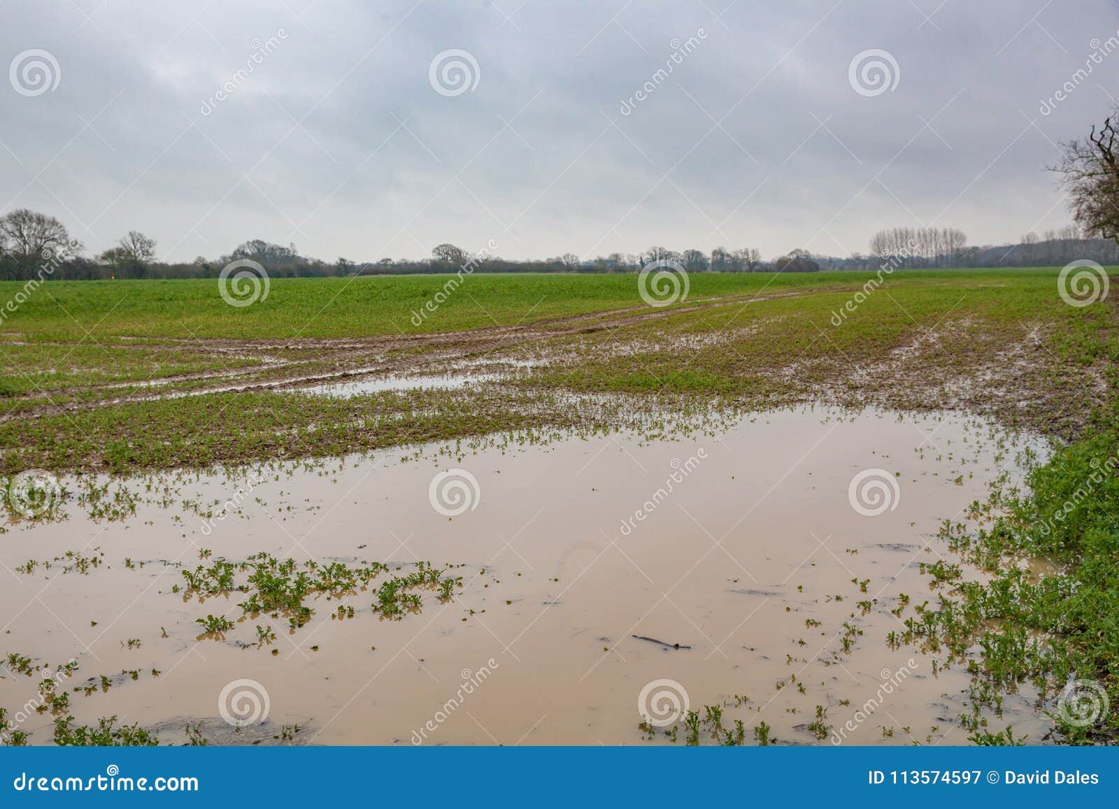 Flooded and Deeply Rutted Field Stock Image - Image of rain, damage ...