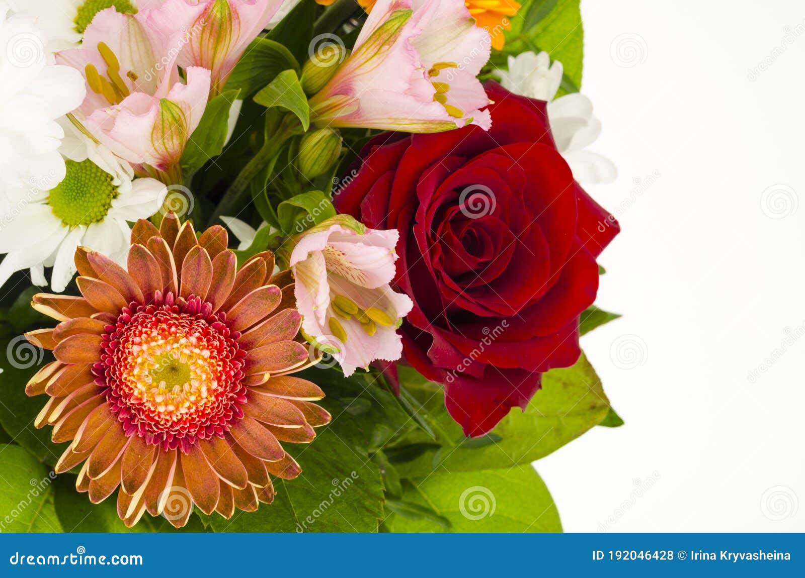 Part of Flower Bouquet, Composition on Light Background Stock Photo ...