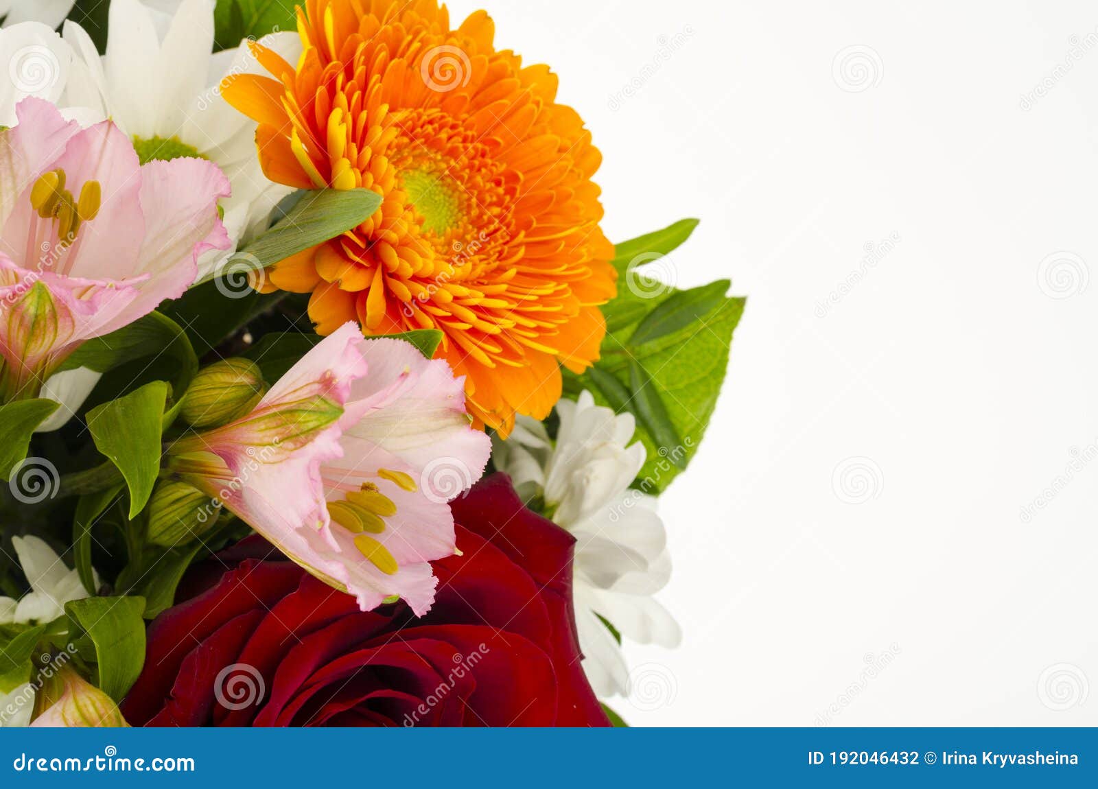 Part of Flower Bouquet, Composition on Light Background Stock Photo ...