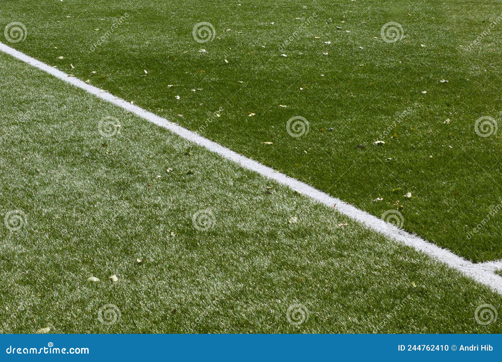 Part of a Football Field. White Stripe on the Lawn. Stock Photo - Image ...