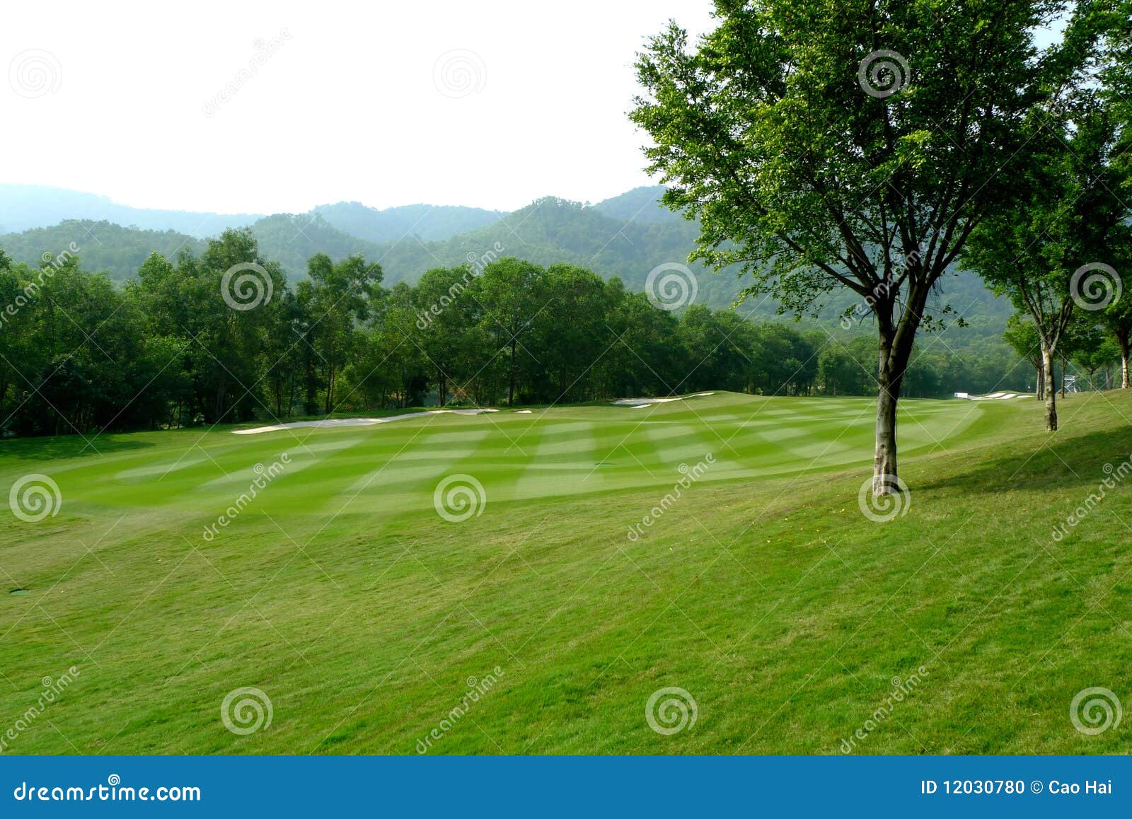 Part of golf field stock photo. Image of green, great - 12030780