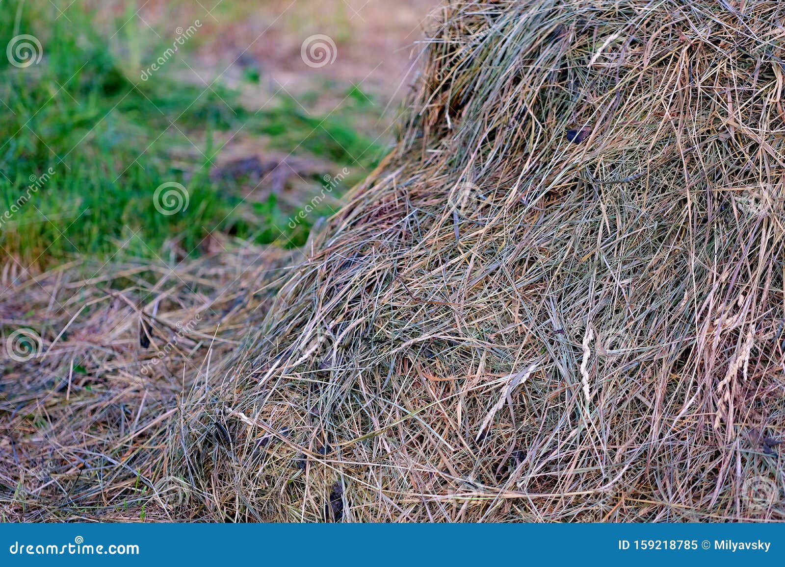 Part of a Haystack, Lots of Straws Stock Image - Image of chease ...