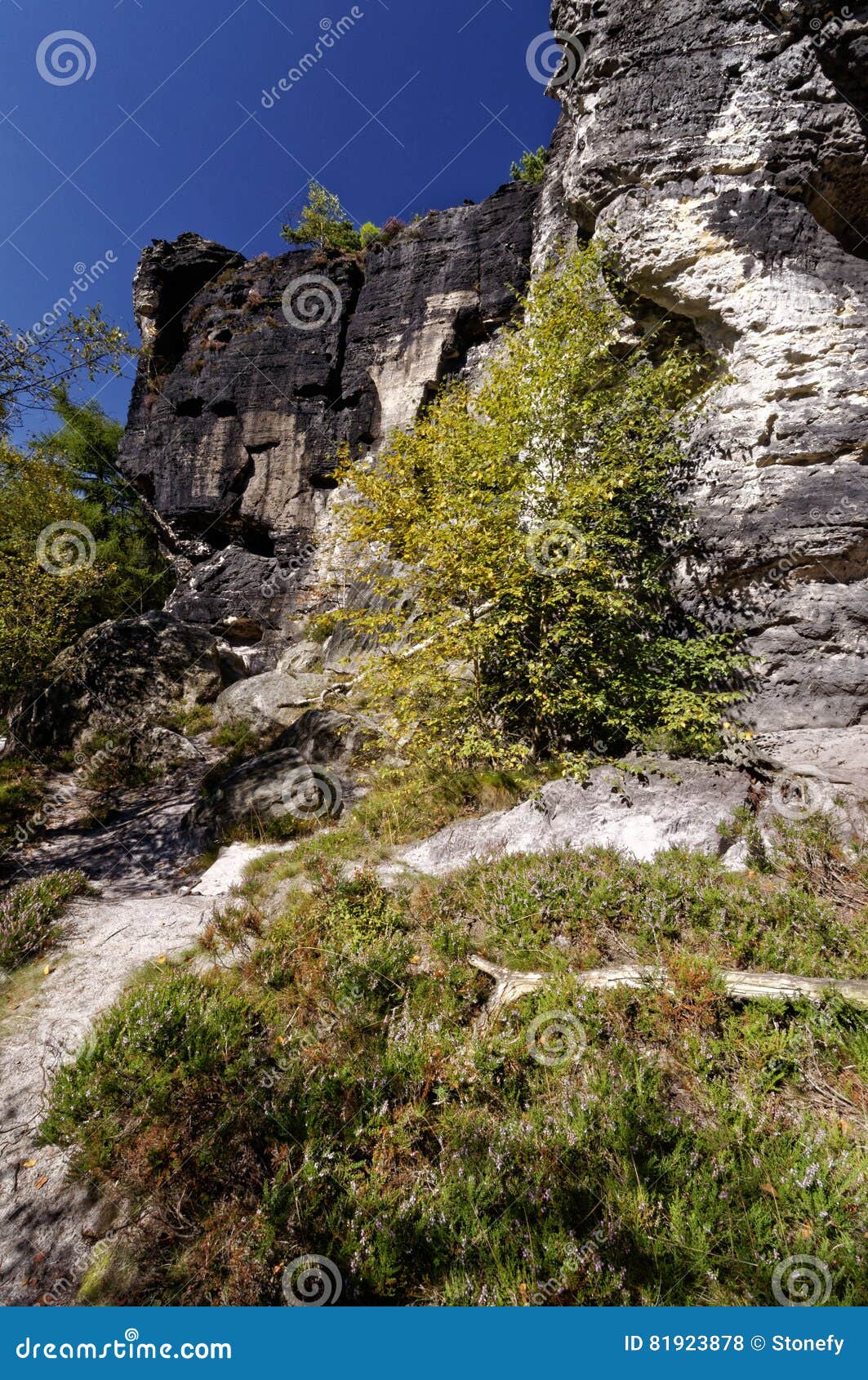Part of a Huge Cliff with Greenery Around it Stock Photo - Image of ...