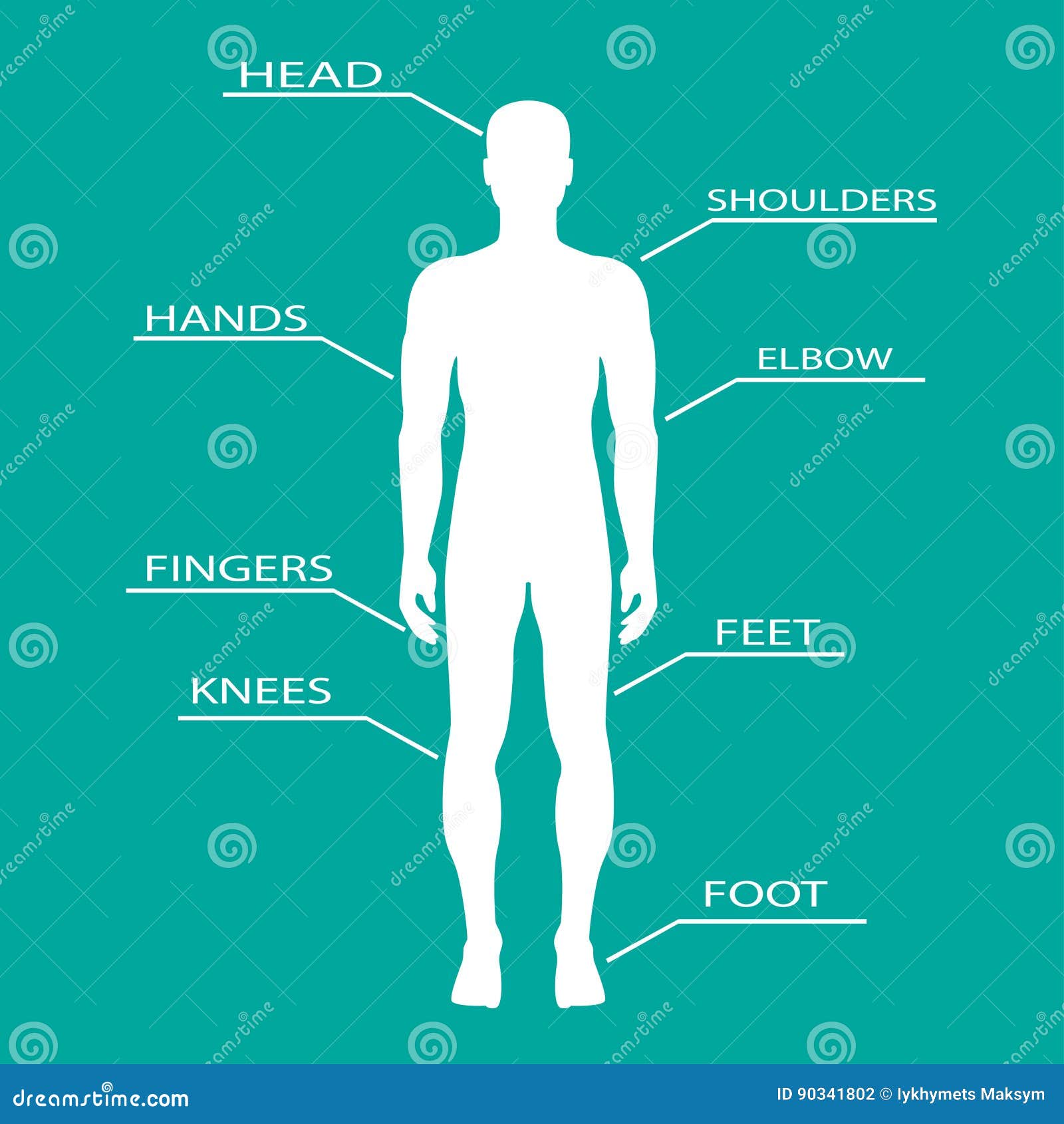 Part of the human body stock illustration. Illustration of child - 90341802