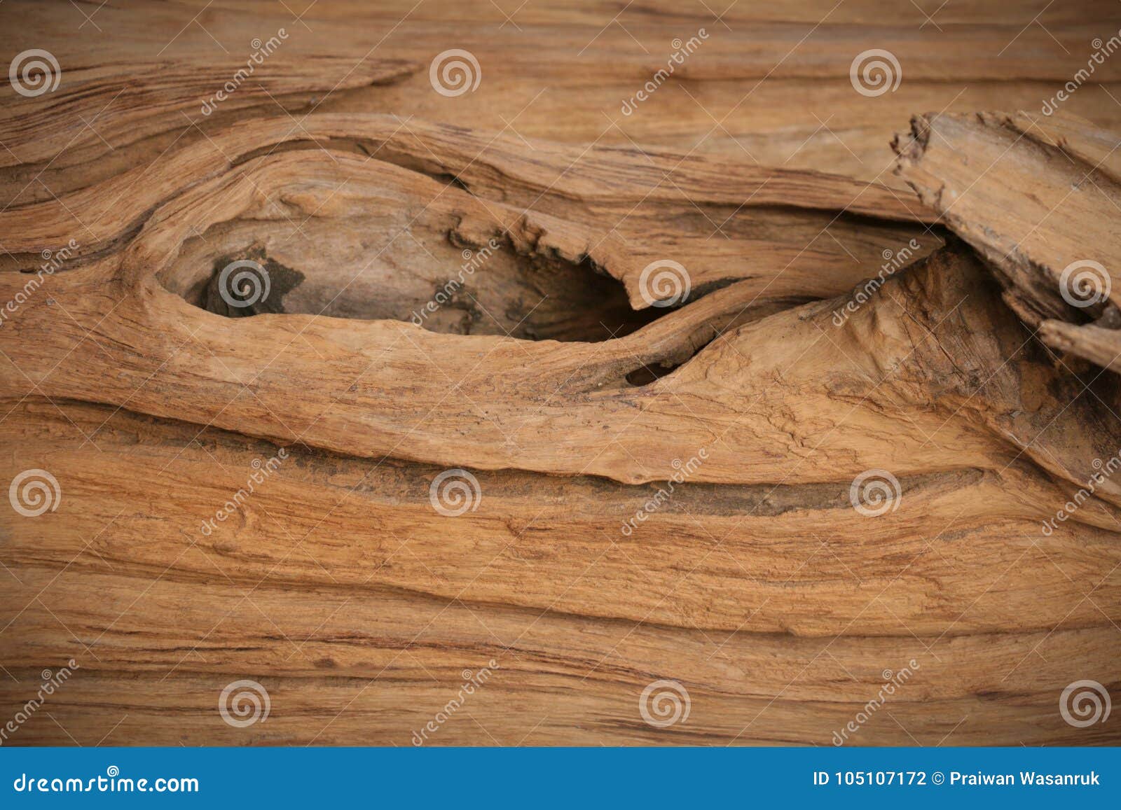 Knothole old wood texture stock photo. Image of lumber - 105107172