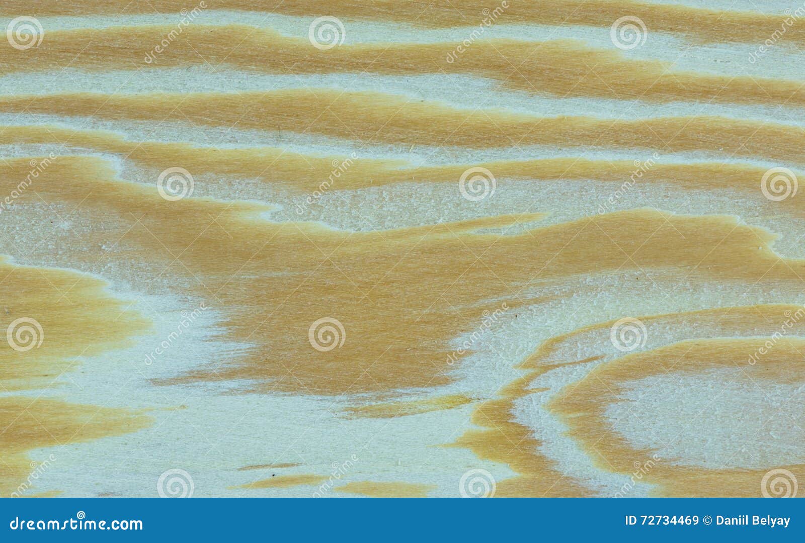 Part of Larch Tree Wood Texture Stock Image - Image of lumber, nail ...