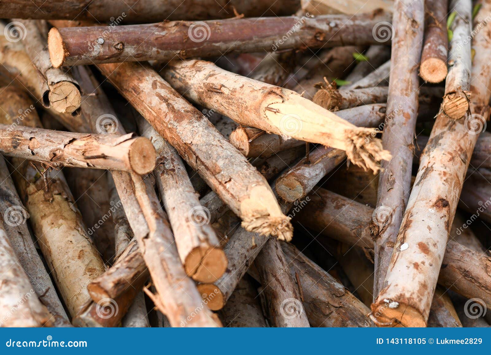 Set of many log woods stock image. Image of color, rough - 143118105